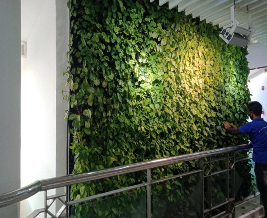 Hi-Green Irrigation Green wall Sample Pictures(21) – Hi-Green